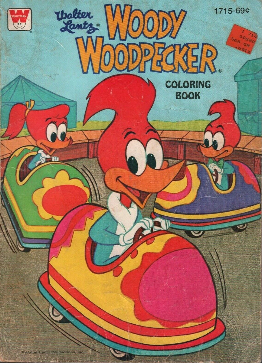 Walter Lantz Woody Woodpecker Coloring Book Vintage 1978 010620AME – mr-magazine-hobby