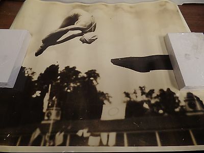 1940s Dispatch Photo News Perfect Back Jackknife Win National Diving 0 ...