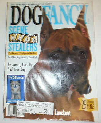 Dog Fancy Magazine Scene Stealers & The Chihuahua September 1995 05081 ...