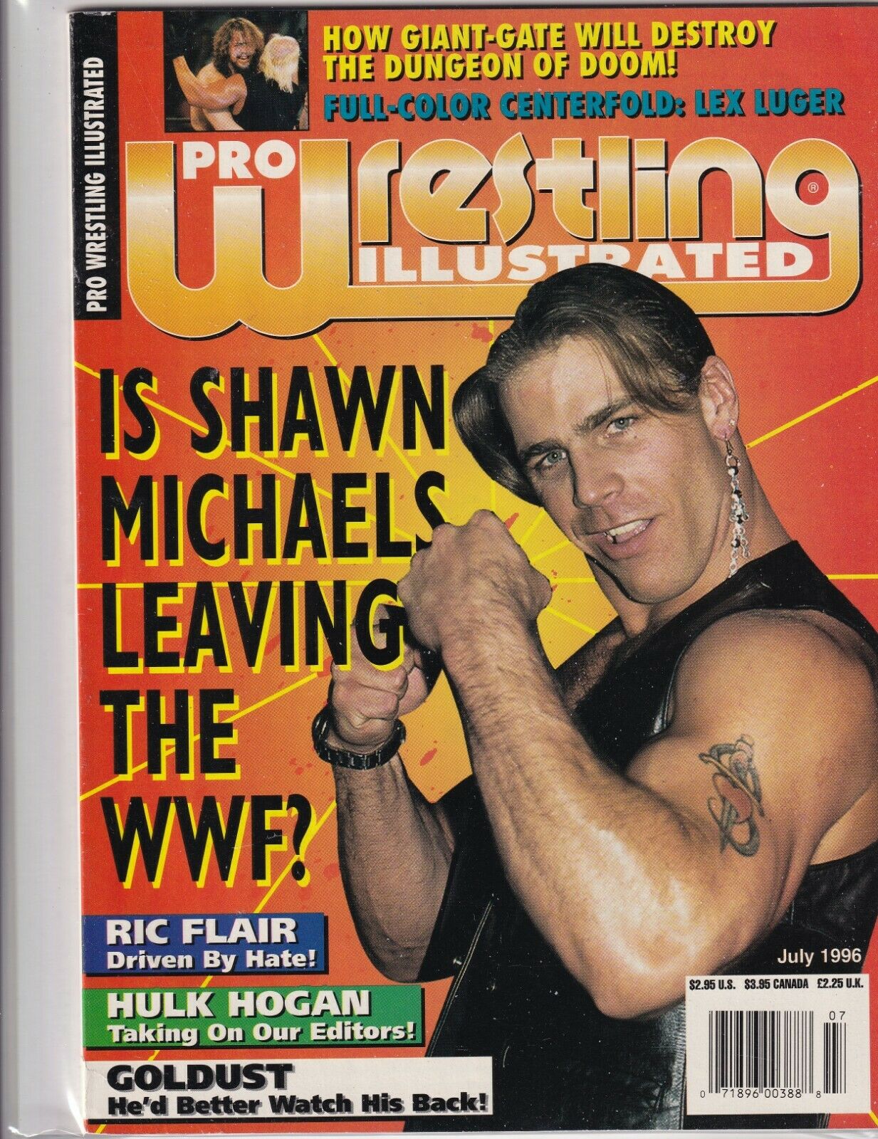 Shawn Michaels 1996